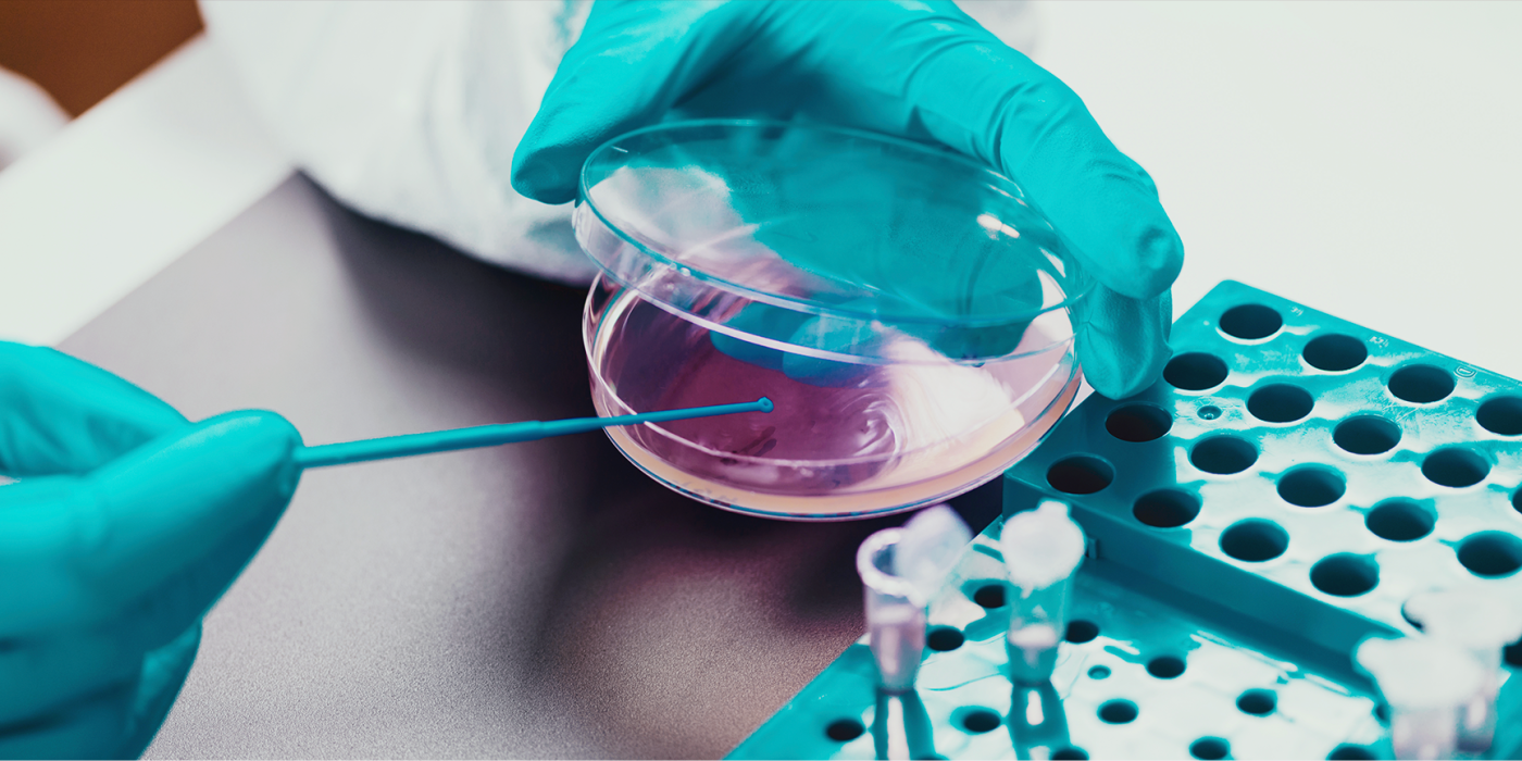 Μικροβιολογικό Εργαστήριο-Μαθιουδάκη Ελευθερία/Γάζι 1 | ΜΙΚΡΟΒΙΟΛΟΓΙΚΑ ...